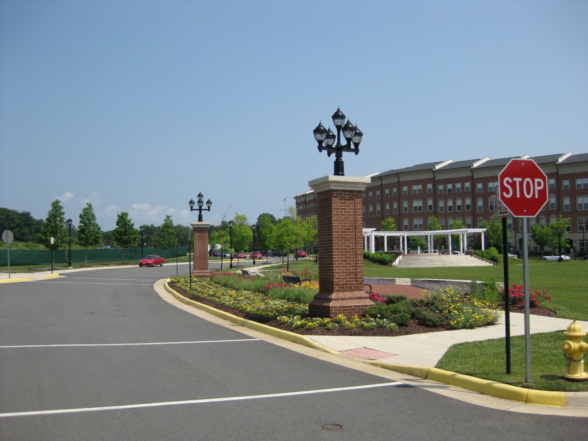 Gainesville Pest Control | EcoTek Pest Control of Manassas